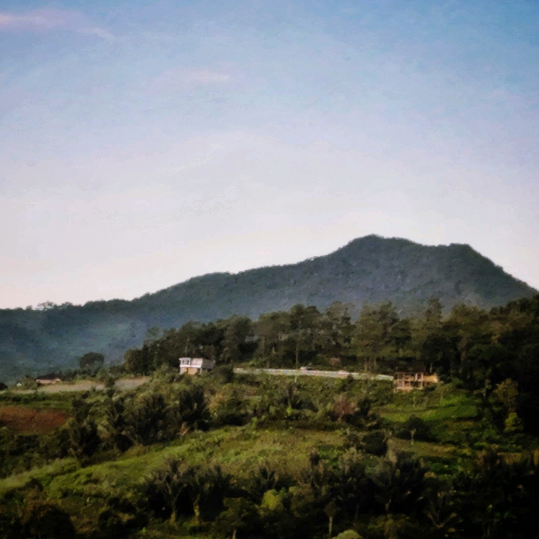 firdaus usman (godamdia) | Stockbit - Investasi Saham Bersama Komunitas ...