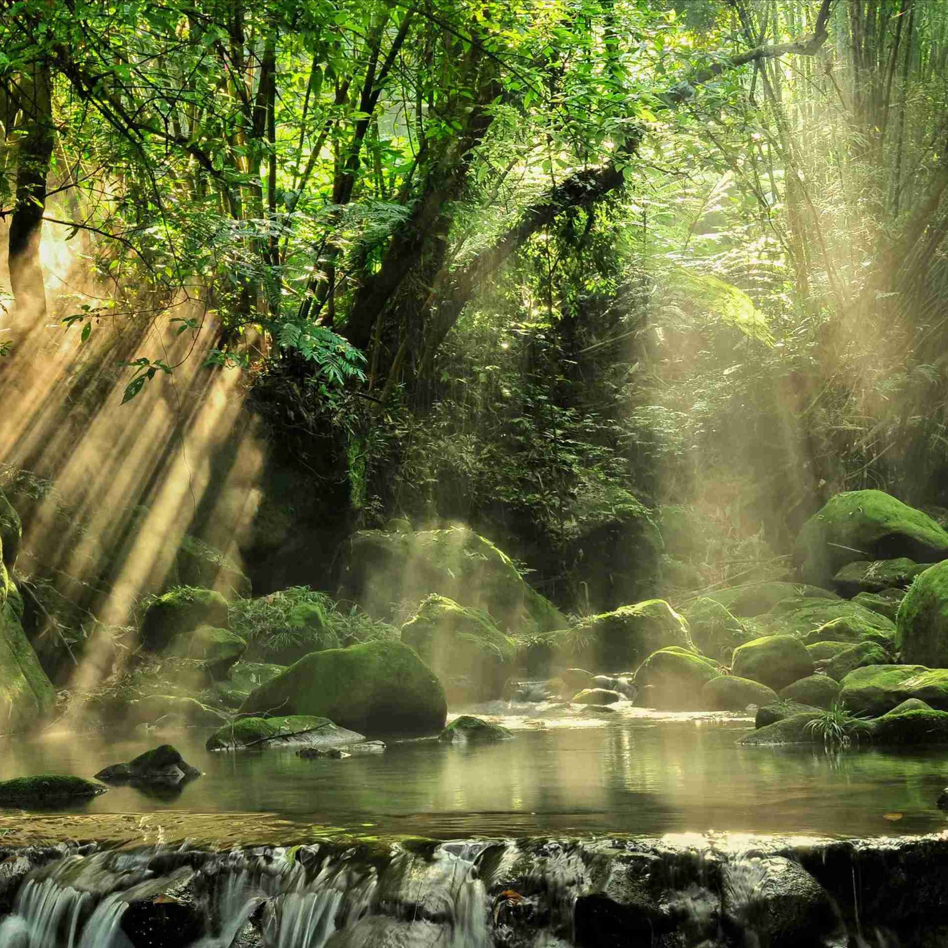 Siti Helena (belreni30) | Stockbit - Investasi Saham Bersama Komunitas ...