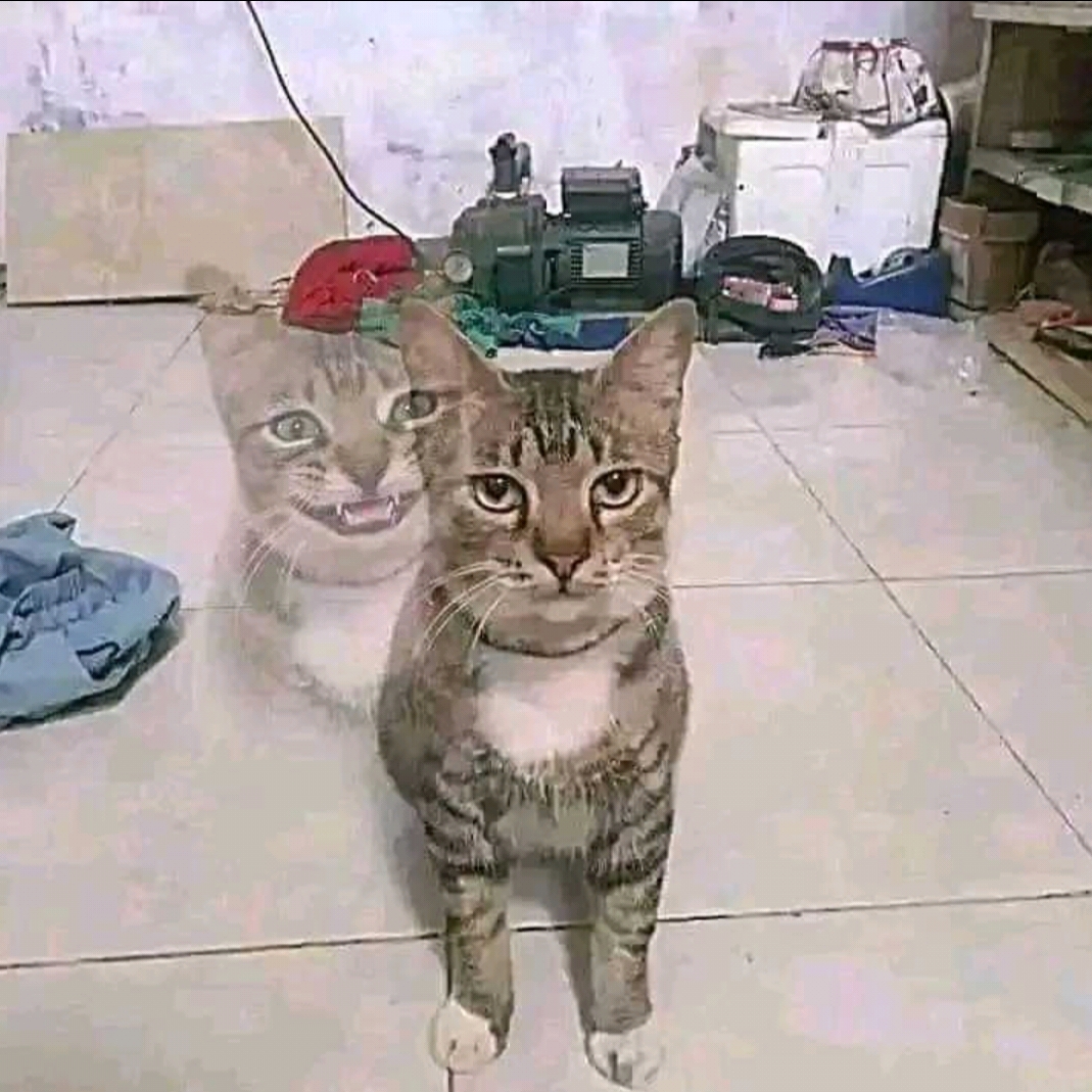 lautandra maysa (lautandramaysa) | Stockbit - Investasi Saham Bersama ...