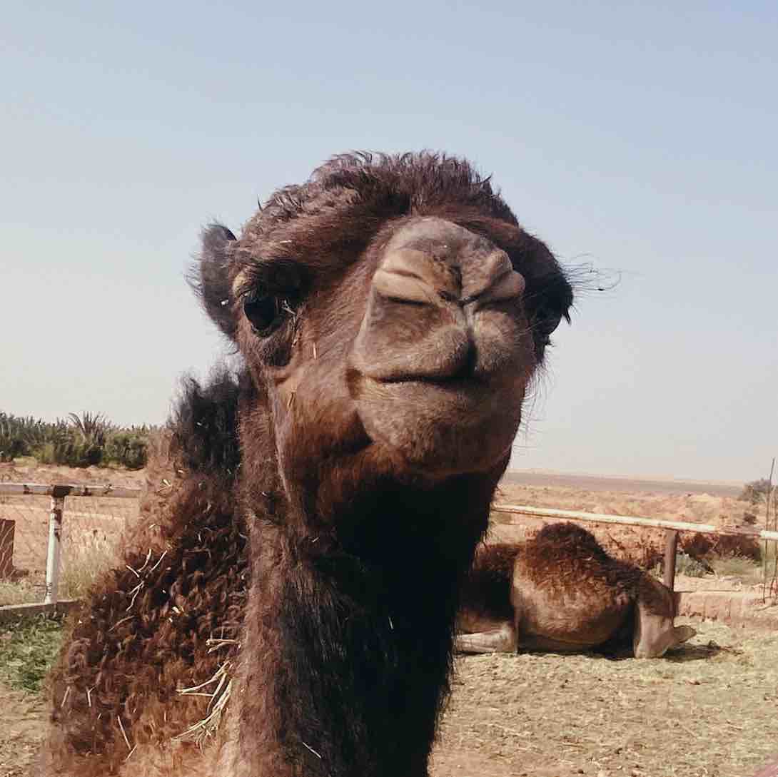 Onta Gurun (fandisaputra10) on Stockbit | Stockbit - Investasi Saham Bersama Komunitas Saham ...