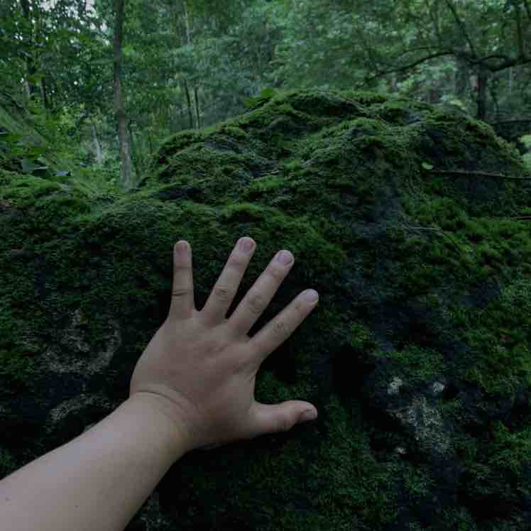 David Arianto (davidinves) | Stockbit - Investasi Saham Bersama ...