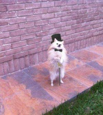 Rawgna (Jasix) on Stockbit | Stockbit - Investasi Saham Bersama ...